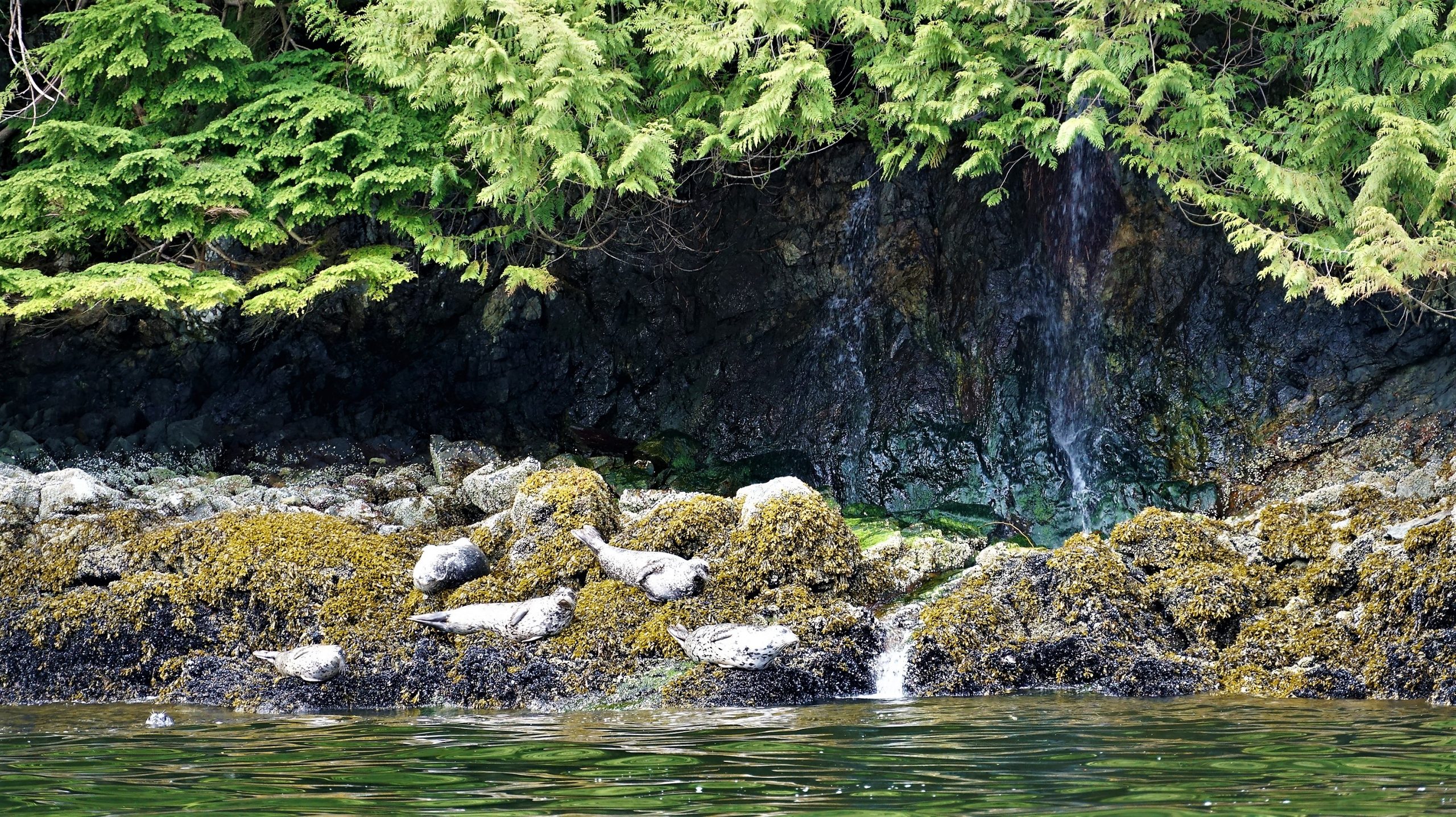 Indian Arm BC | David Moulton Indian Arm BC | David Moulton