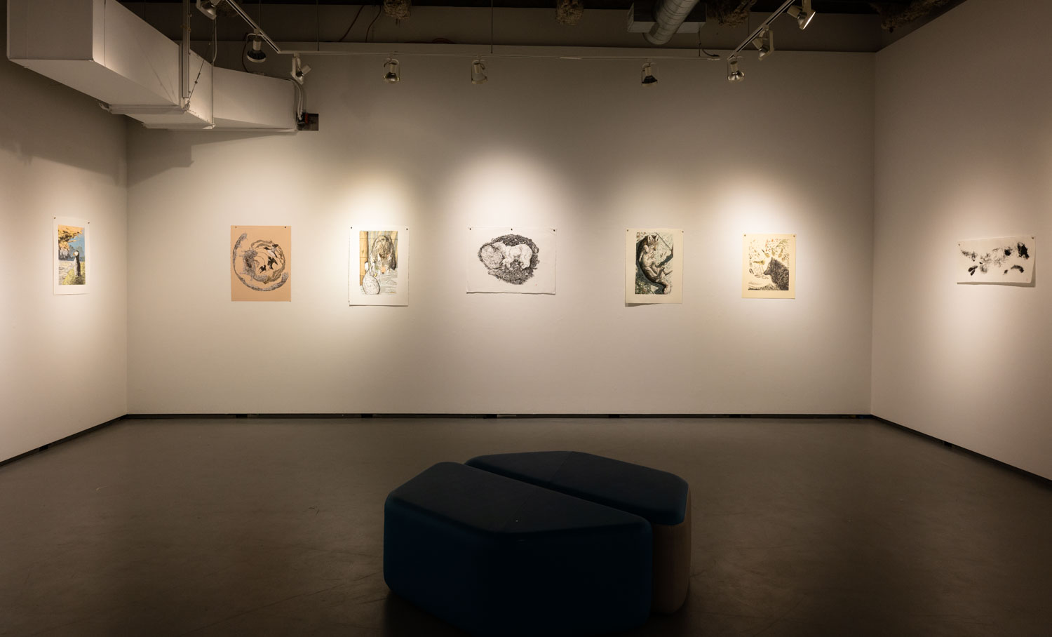 Megan Perra – Stories Behind the Statistics – FCCS ART