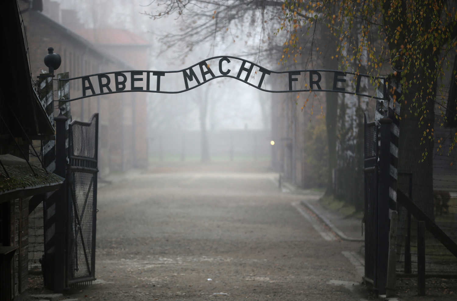 Concentration Camps and the Holocaust | "To forget a Holocaust is to ...