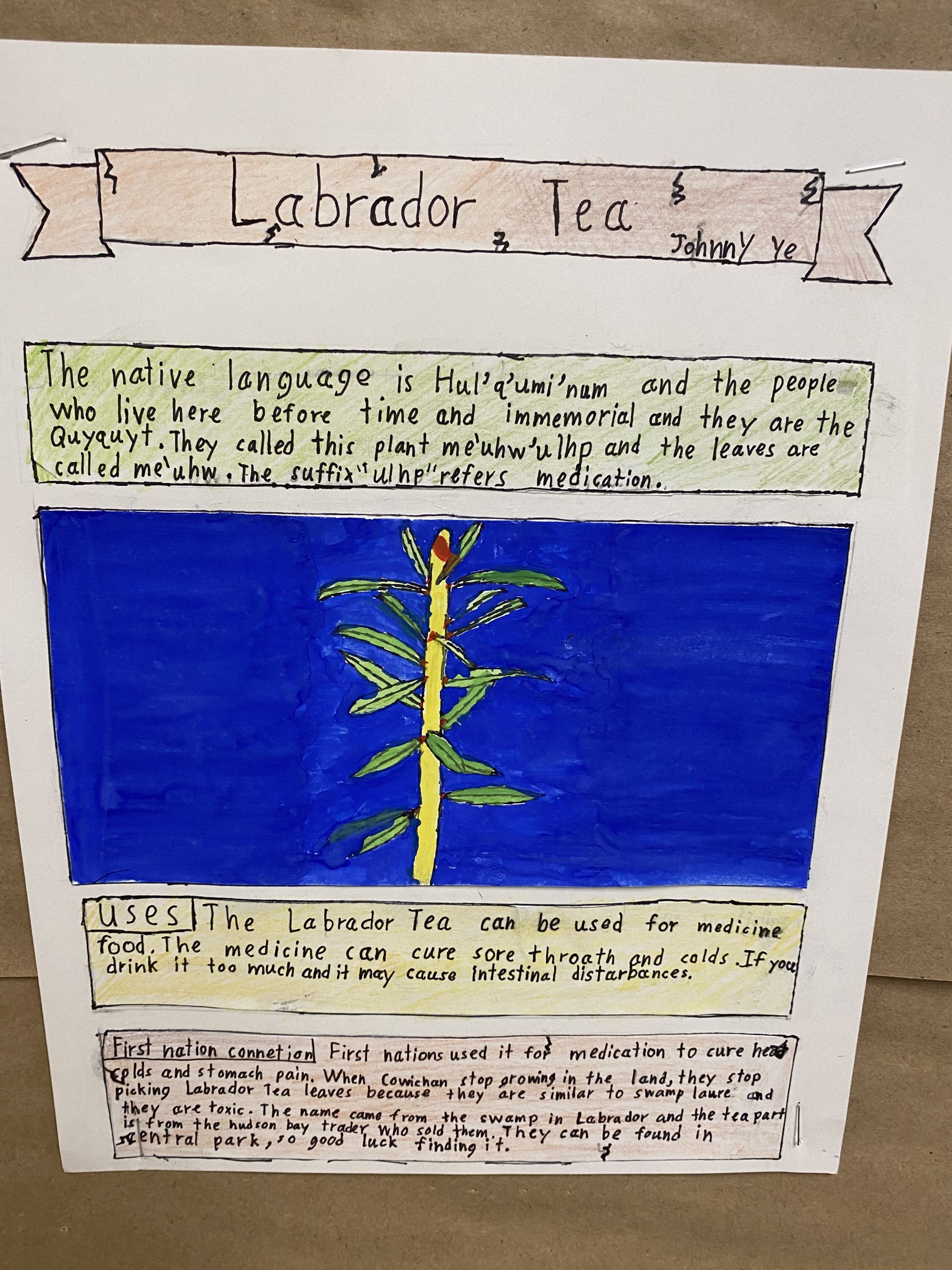 First Peoples Principles of Learning | Jen Fischer's Blog