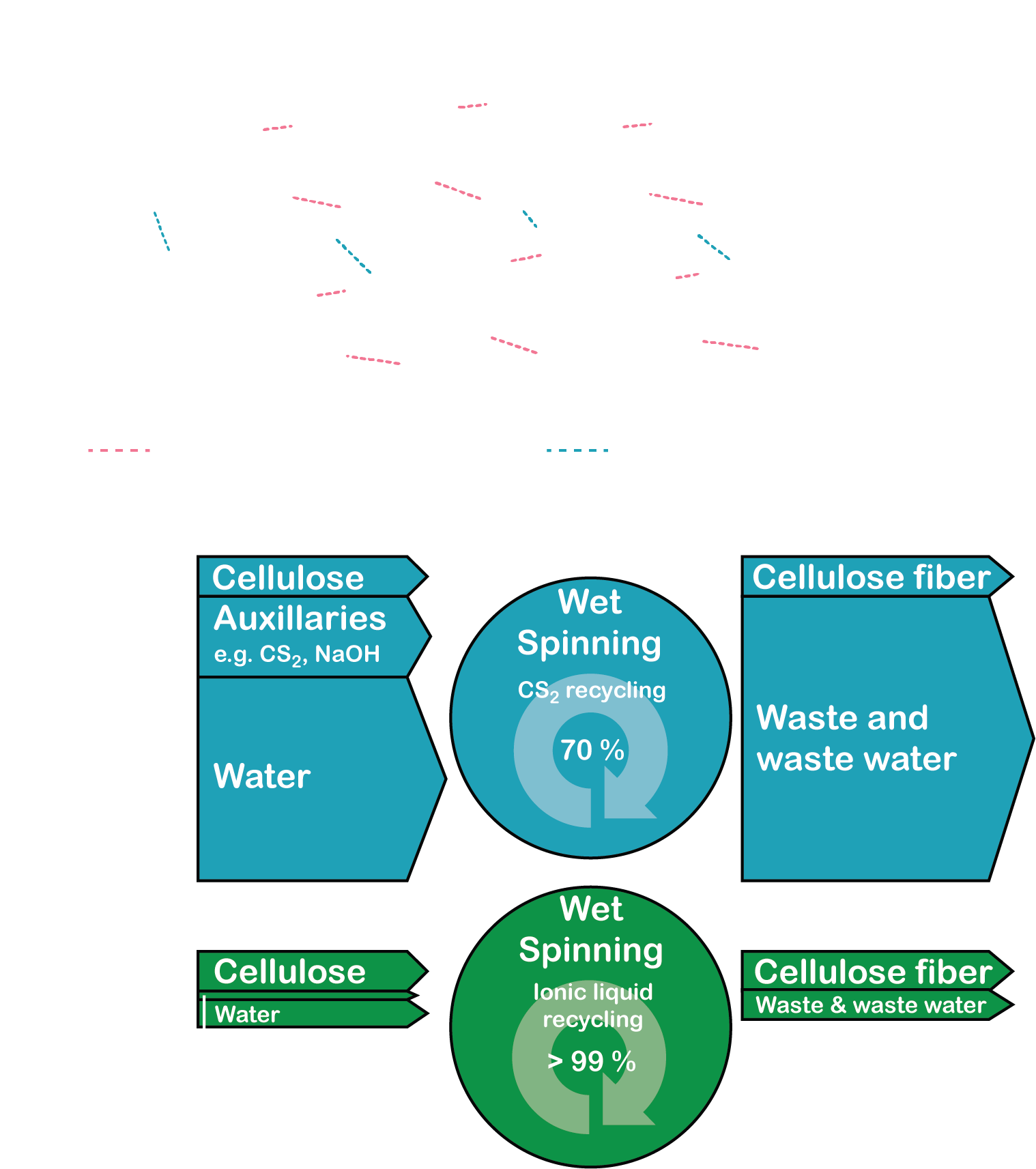 Cellulose dissolution in organic electrolyte solutions – Marcus Johns