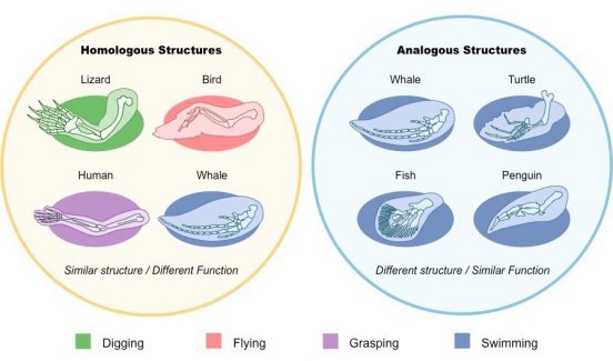 Unit 2: Quiz 1 Review – The Biology Classroom