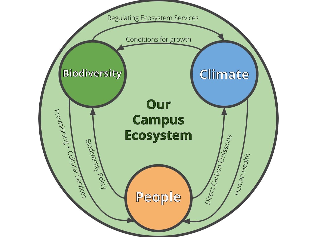Biodiversity for Climate Action: Upcoming CCUB Report – Home