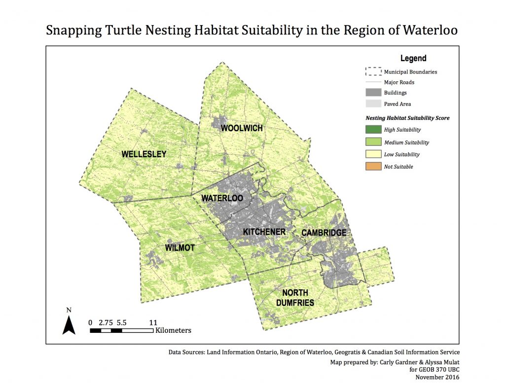 Results | Snapping Turtle Habitat Suitability Analysis